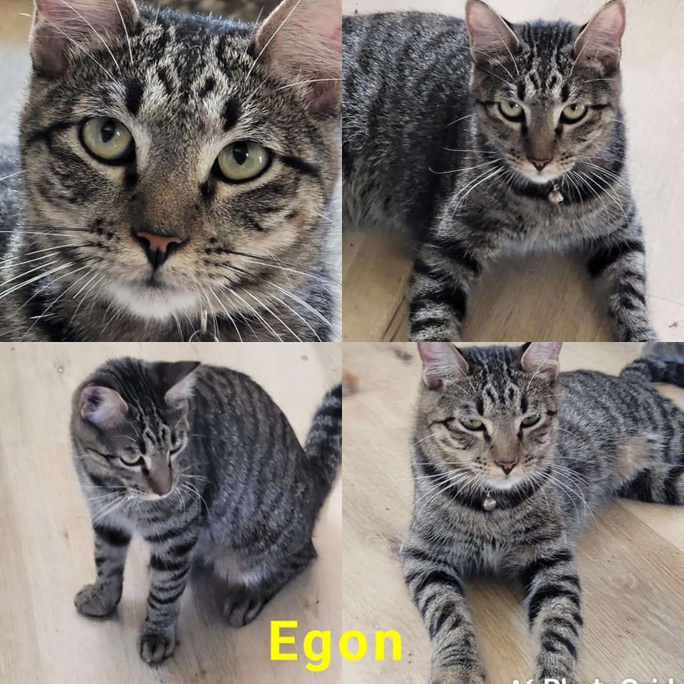 September 2022 Newsletter | Yogie and Friends